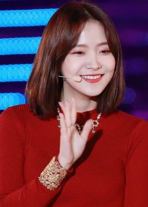 Yeri (Singer) Height, Weight, Age, Boyfriend, Family, Facts, Biography