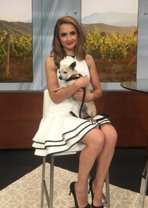 Rachael Leigh Cook Height, Weight, Age, Boyfriend, Family, Biography