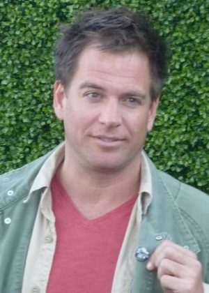 Michael Weatherly Height, Weight, Age, Spouse, Family, Biography