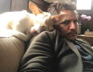 Pedro Pascal Height, Weight, Age, Girlfriend, Family, Facts, Biography