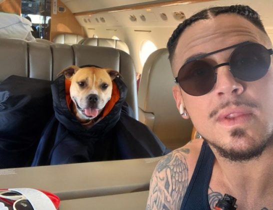 Char Defrancesco Height, Weight, Age, Spouse, Family, Facts, Biography