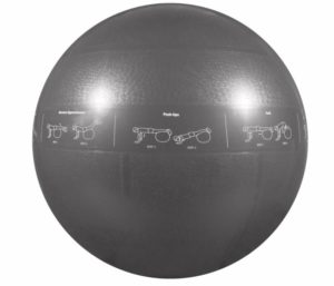 GoFit Pro Exercise Ball Review - Healthy Celeb
