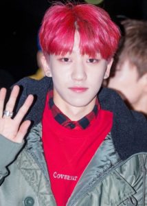 The8 Height, Weight, Age, Girlfriend, Biography, Family, Facts