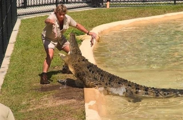 Steve Irwin Height, Weight, Age, Spouse, Children, Facts