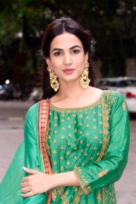 Sonal Chauhan Height, Weight, Age, Boyfriend, Biography, Facts
